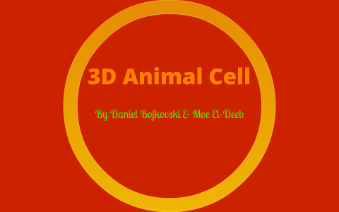 3D Animal Cell Slide Show by Daniel & Moe on Prezi