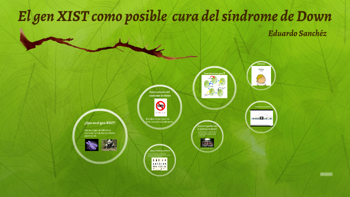 El gen XIST como posible cura del sindrome de Down by Lalo San on Prezi