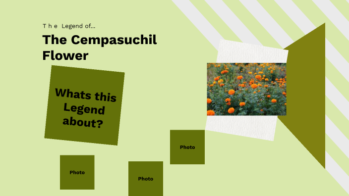 The Legend of the Cempasuchil flower by Isabelle McSkimming on Prezi