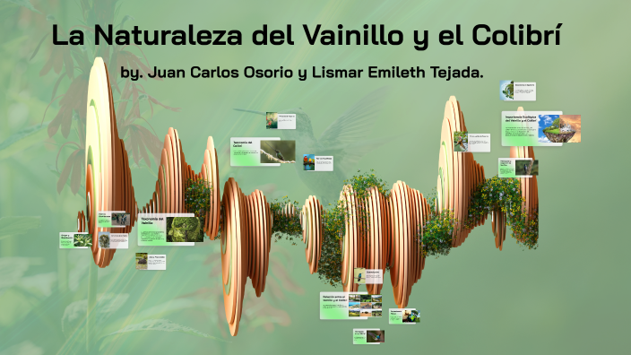 La Naturaleza del Vainillo y el Colibrí by Lismar Emileth Tejada ...