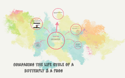 Comparing the life cycle of a butterfly & a frog by Layla Frommeyer on ...