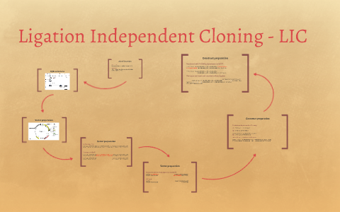 Ligation Independent Cloning - LIC by Heidi Johnsen on Prezi