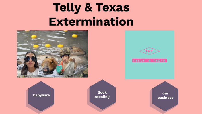 Telly and Texas by Alexis Neff on Prezi