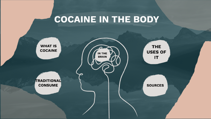 Presentacion De Cocaina En El Cuerpo By Samuel Benavides On Prezi