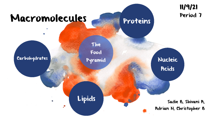 Macromolecule Group Poster Project by Sadie Batchis on Prezi