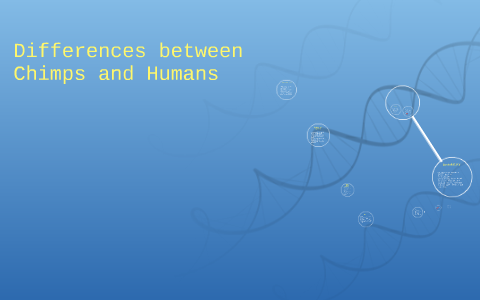 Differences between Chimps and Humans by Megan huckabay on Prezi