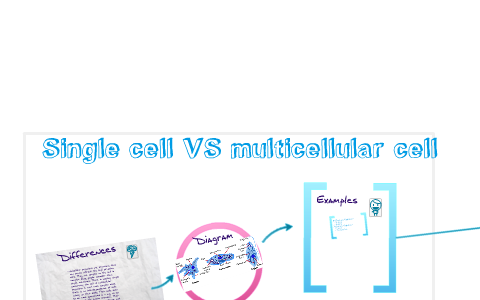 Single cell VS multi-cell organisms by Cyborg Danish on Prezi