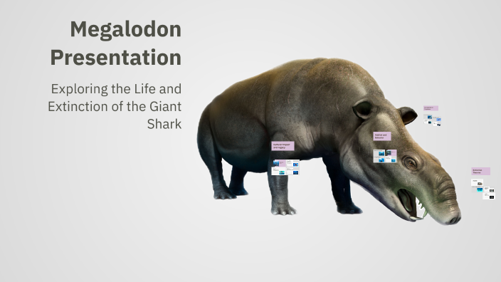 Megalodon Presentation by tye byrnes on Prezi