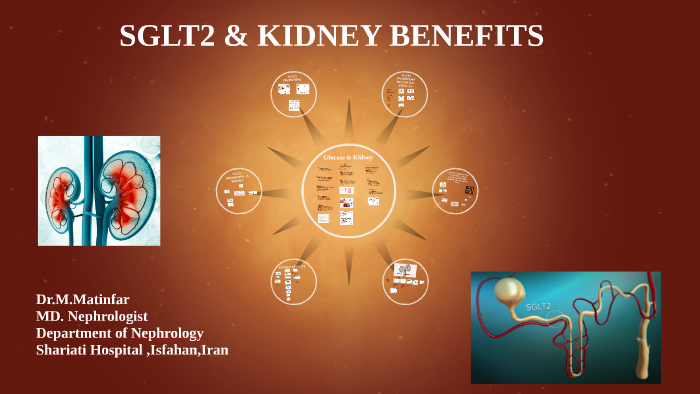 SGLT2 & KIDNEY BENEFITS by mohammad matinfar on Prezi