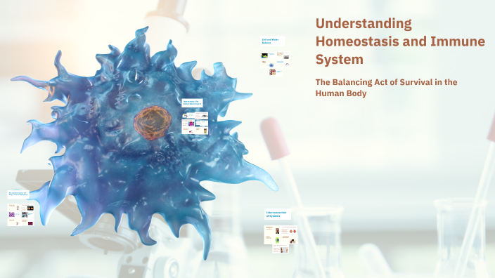 Understanding Homeostasis and Immune System by Nicolas G. on Prezi