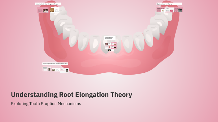 Understanding Root Elongation Theory by mohamed abdelaal on Prezi