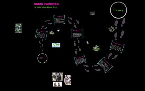 The Evolution of a Koala by Ade B on Prezi