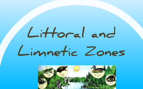 Littoral and Limnetic Zone by Aleena Foster on Prezi