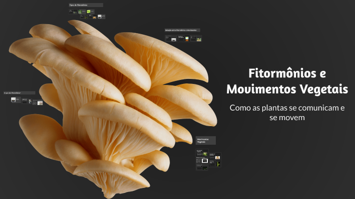 Fitormônios e Movimentos Vegetais by Victor LK on Prezi