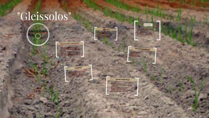"Gleissolos" by agatha paola on Prezi