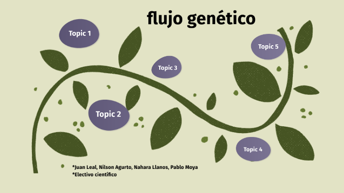 flujo genetico 2 by juan leal on Prezi