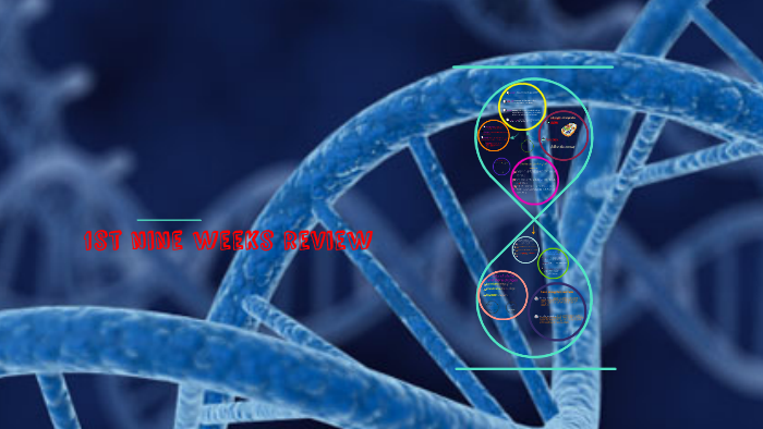 cell theory by billie hammar on Prezi