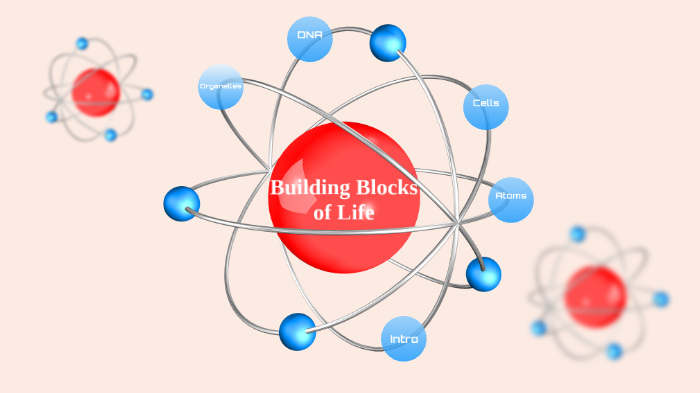 Building Blocks of Life by vivian liu on Prezi