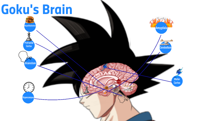 Goku Brain AP Psych by Carlos Valdez on Prezi