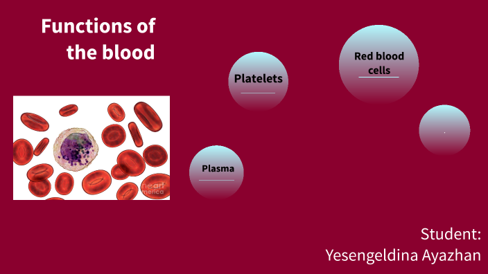 Functions of the blood by Ayazhan esengeldina on Prezi