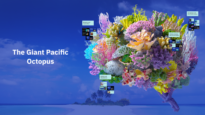 The Fascinating Giant Pacific Octopus by Alexa Poropatic on Prezi
