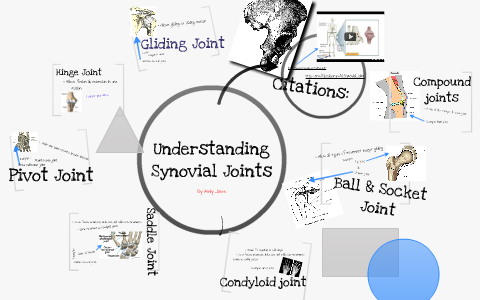 Joints Interactive Display by Ashly Jones on Prezi