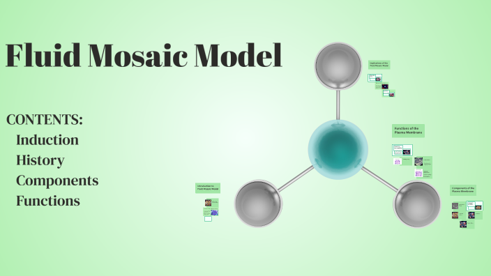 Fluid Mosaic Model by Singer and Nicholson by ankita Borah on Prezi