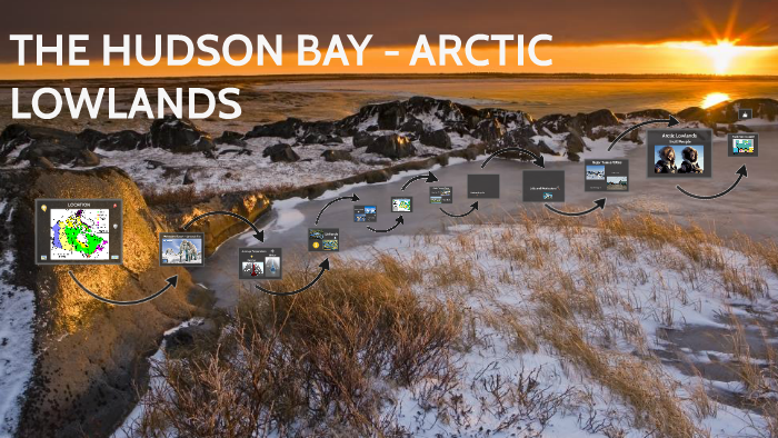 THE HUDSON BAY ARCTIC LOWLANDS by Maha CH on Prezi
