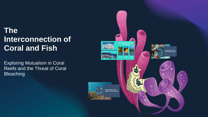 The Interconnection of Coral and Fish by Faith Sutton on Prezi