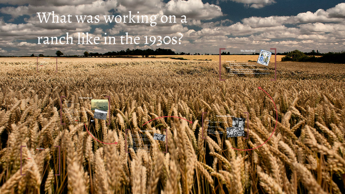 What was working on a ranch like in the 1930s? by Raphaël Mayor on Prezi