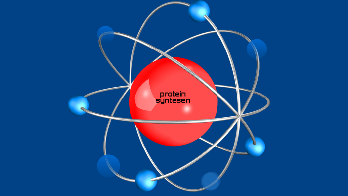 Proteinsyntesen by Lucia Jensen on Prezi