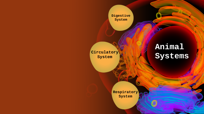 Animal Systems by Ethan Lake on Prezi