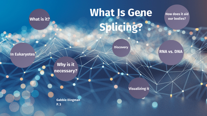 How Does Gene Splicing Work? by Gabbie Dingman on Prezi