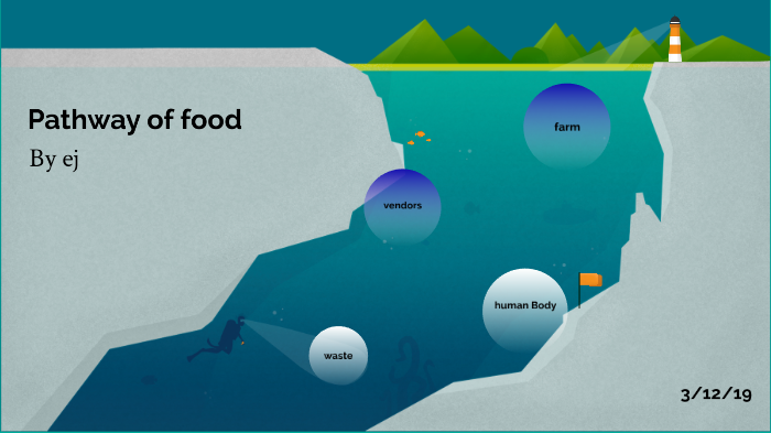 pathway of food by EDUOIR TUNSTALL on Prezi