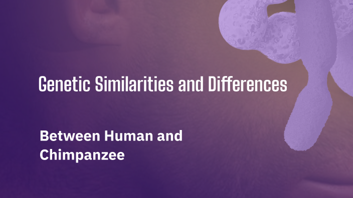 Genetic Similarities and Differences by Leah Ücker on Prezi