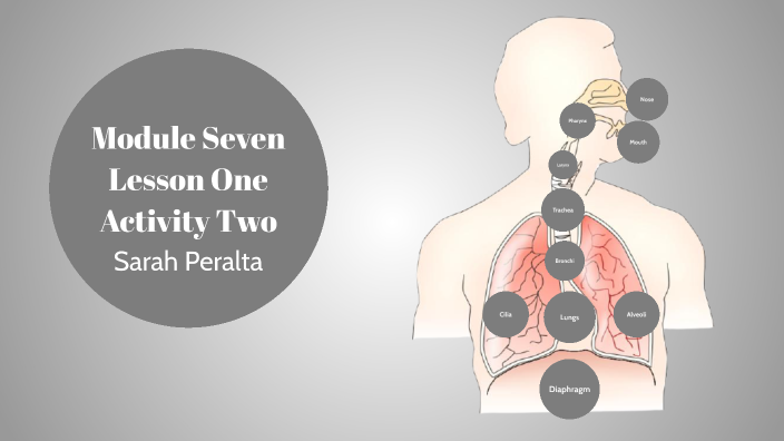 Module Seven Lesson One Activity Two by Sarah Peralta on Prezi
