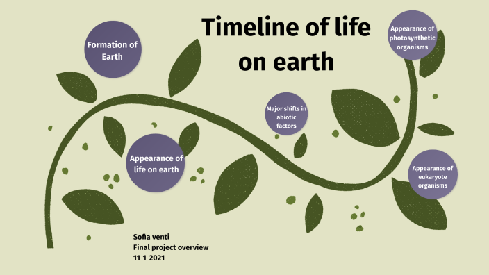 Timeline of life on earth by sofia venti on Prezi