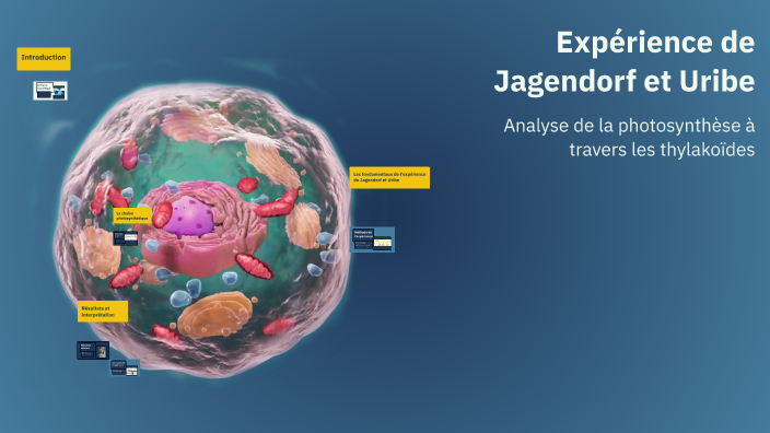 Expérience de Jagendorf et Uribe by Eloan Lambrouin on Prezi