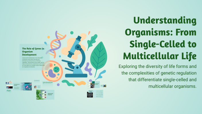Understanding Organisms: From Single-Celled to Multicellular Life by ...
