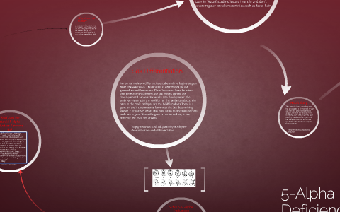 5-alpha Reductase Deficiency Syndrome by on Prezi