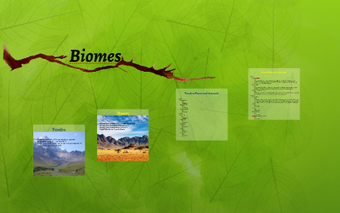 Biomes (Tundra and Desert) by Rebecca Chowdhury on Prezi