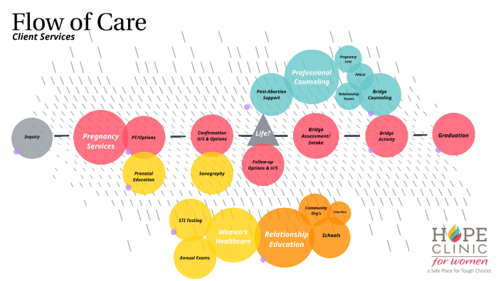 Client Services Flow of Care by Alex McCandless on Prezi