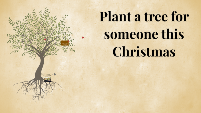 Tree For A Tree by Paul Snider on Prezi