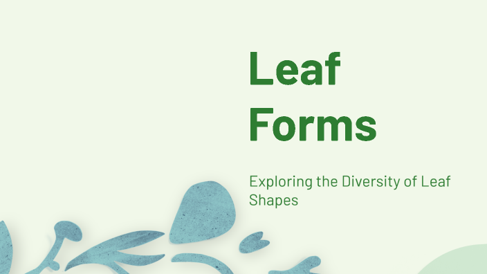 Leaf Forms by 芳琪 邱 on Prezi