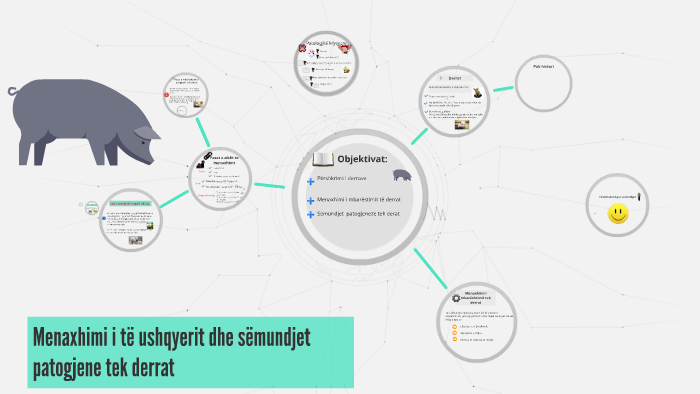 Menaxhimi i të ushqyerit dhe sëmundjet patogjene tek derrat by megi ...
