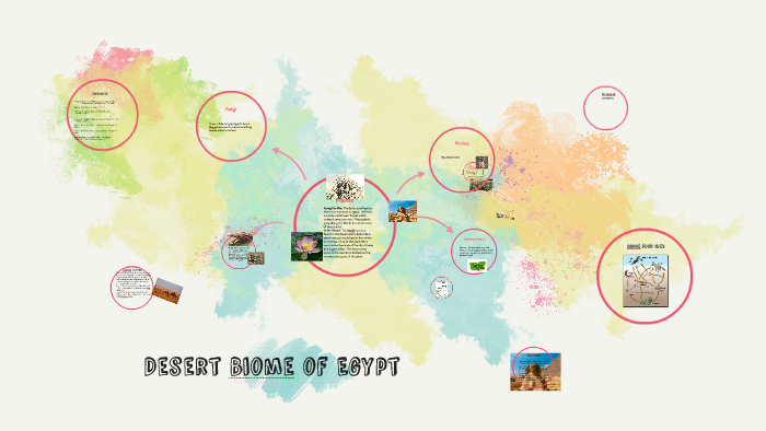 Desert Biome of Egypt by Lee Skelly on Prezi
