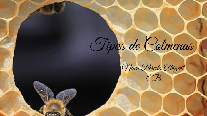 Tipos de Colmenas by abigail nava on Prezi