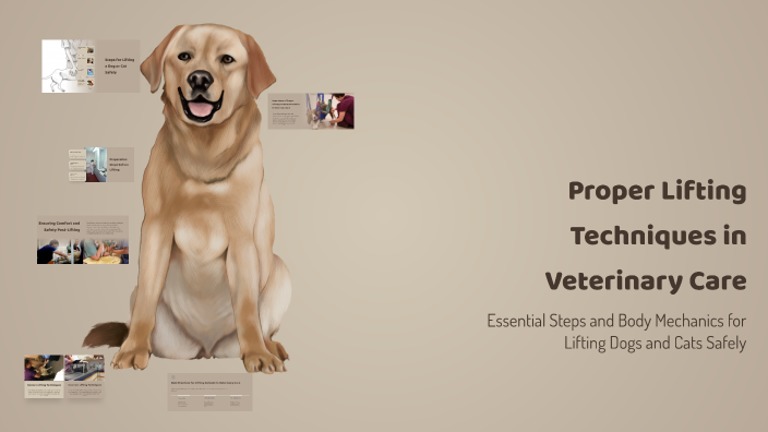Proper Lifting Techniques in Veterinary Care by John on Prezi