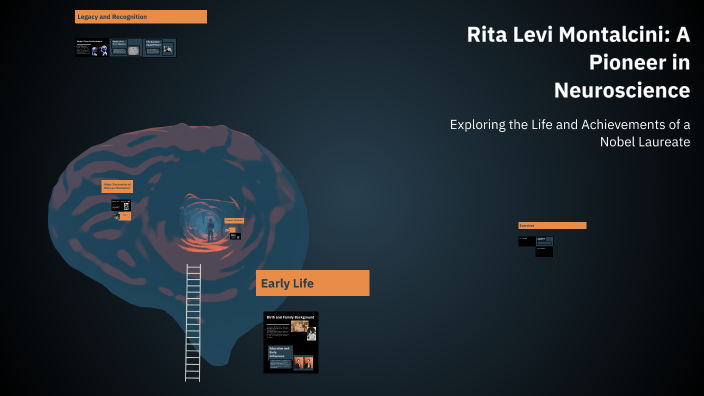 Rita Levi Montalcini: A Pioneer in Neuroscience by Giorgia Nardello on ...