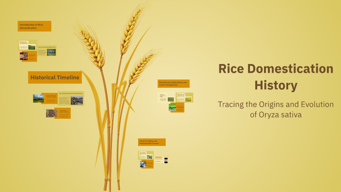 Rice Domestication History by nena frias on Prezi